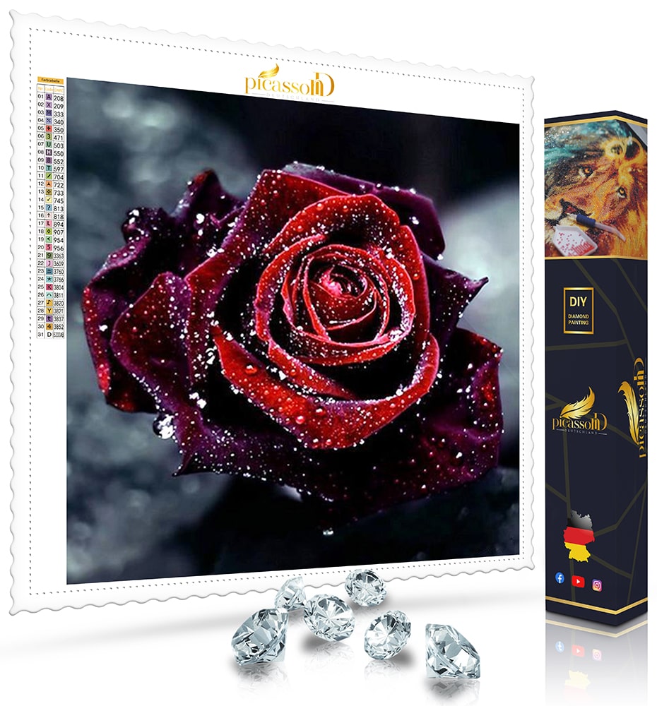 Premium Diamond Painting Sets aus DE mit 1-3 Tage Expressversand